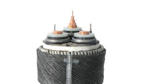 Types and Characteristics of High Voltage Conductors - ZMS