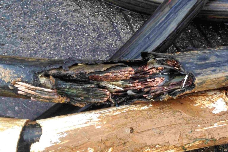 Corrosion in Copper and Aluminum Cables - ZMS CABLE